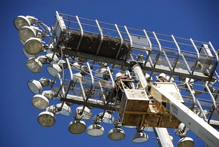 Conserve & Protect | American Eagle Foundation