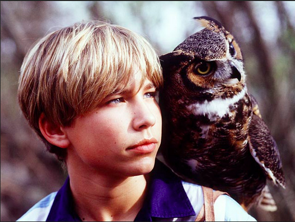 Owl-x | American Eagle Foundation