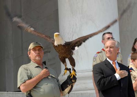 Defense Department Helps Eagle Soar Off Endangered List | American ...
