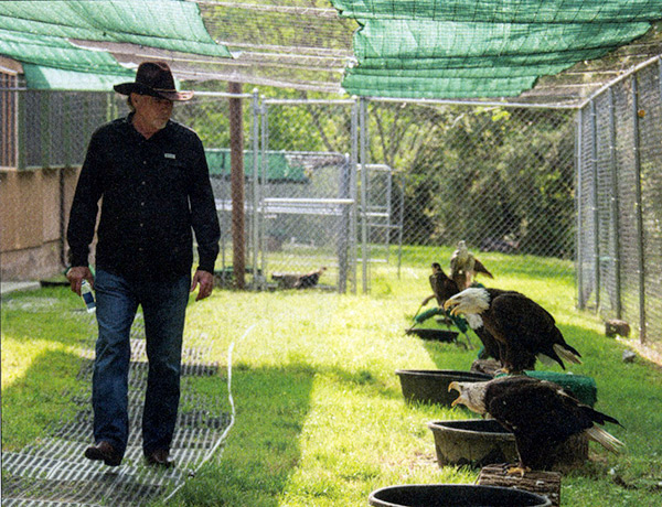 Eagle Eyes | American Eagle Foundation