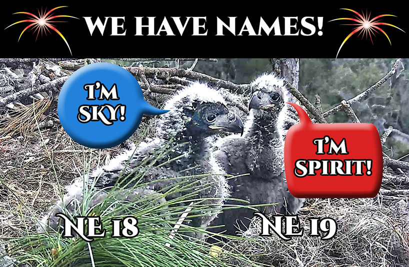 Introducing Sky & Spirit | American Eagle Foundation