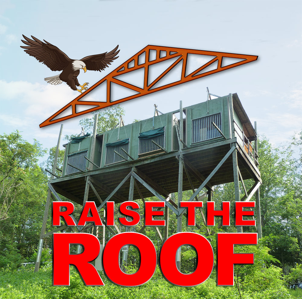 Raise the Roof Campaign | American Eagle Foundation