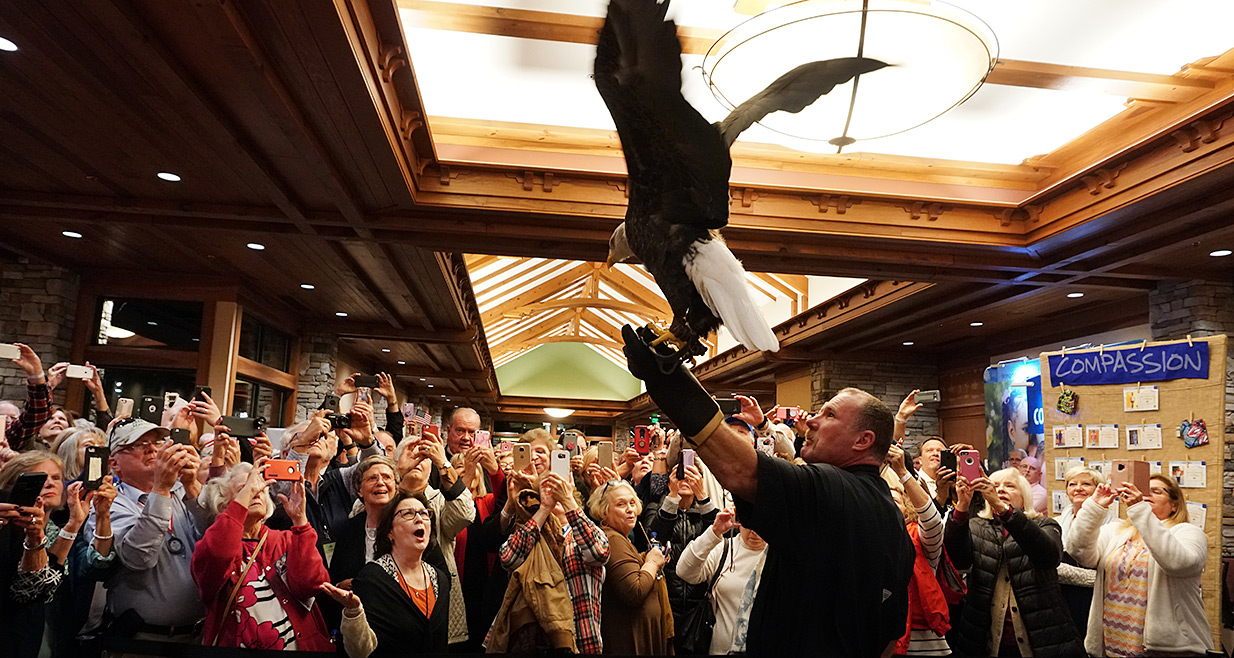 Bald Eagle Challenger Appears at Celebrators Conference | American ...