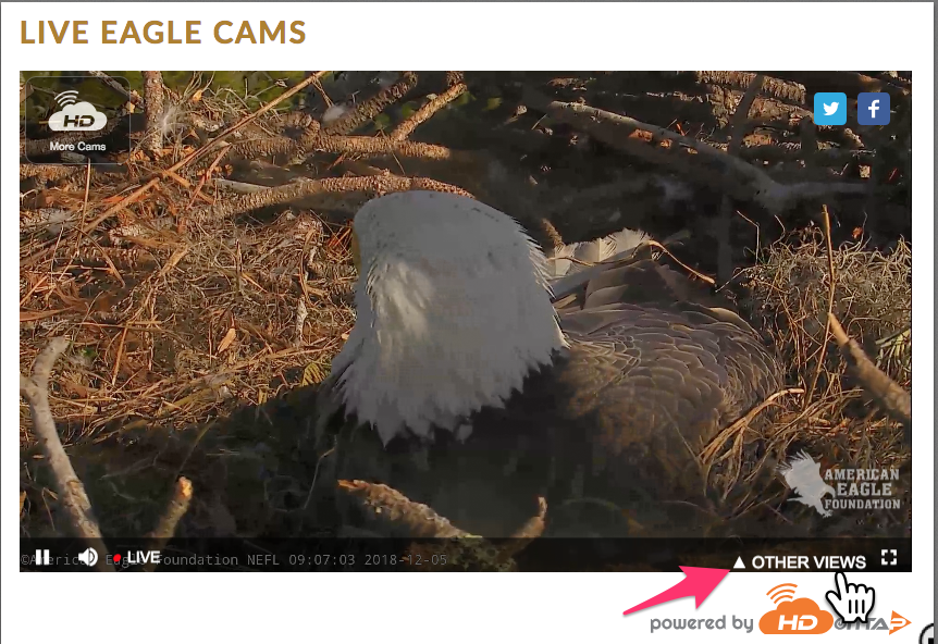 Cam Information | American Eagle Foundation