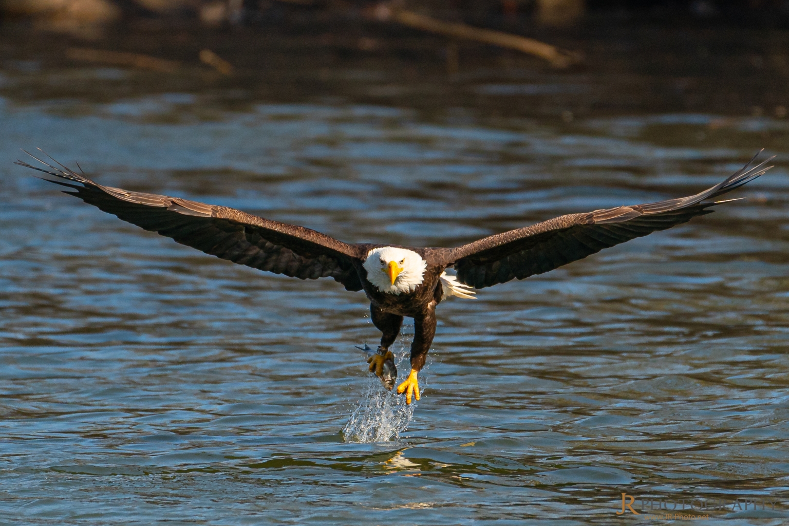 Success Stories | American Eagle Foundation