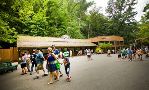Dollywood | American Eagle Foundation