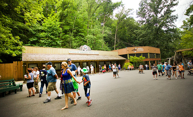 Dollywood | American Eagle Foundation