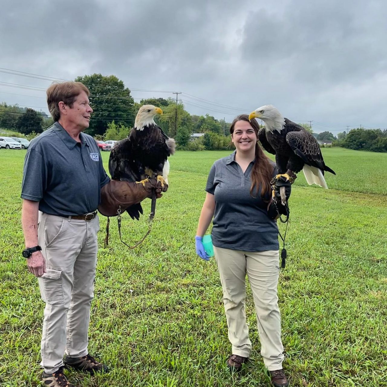 Project Eagle | American Eagle Foundation