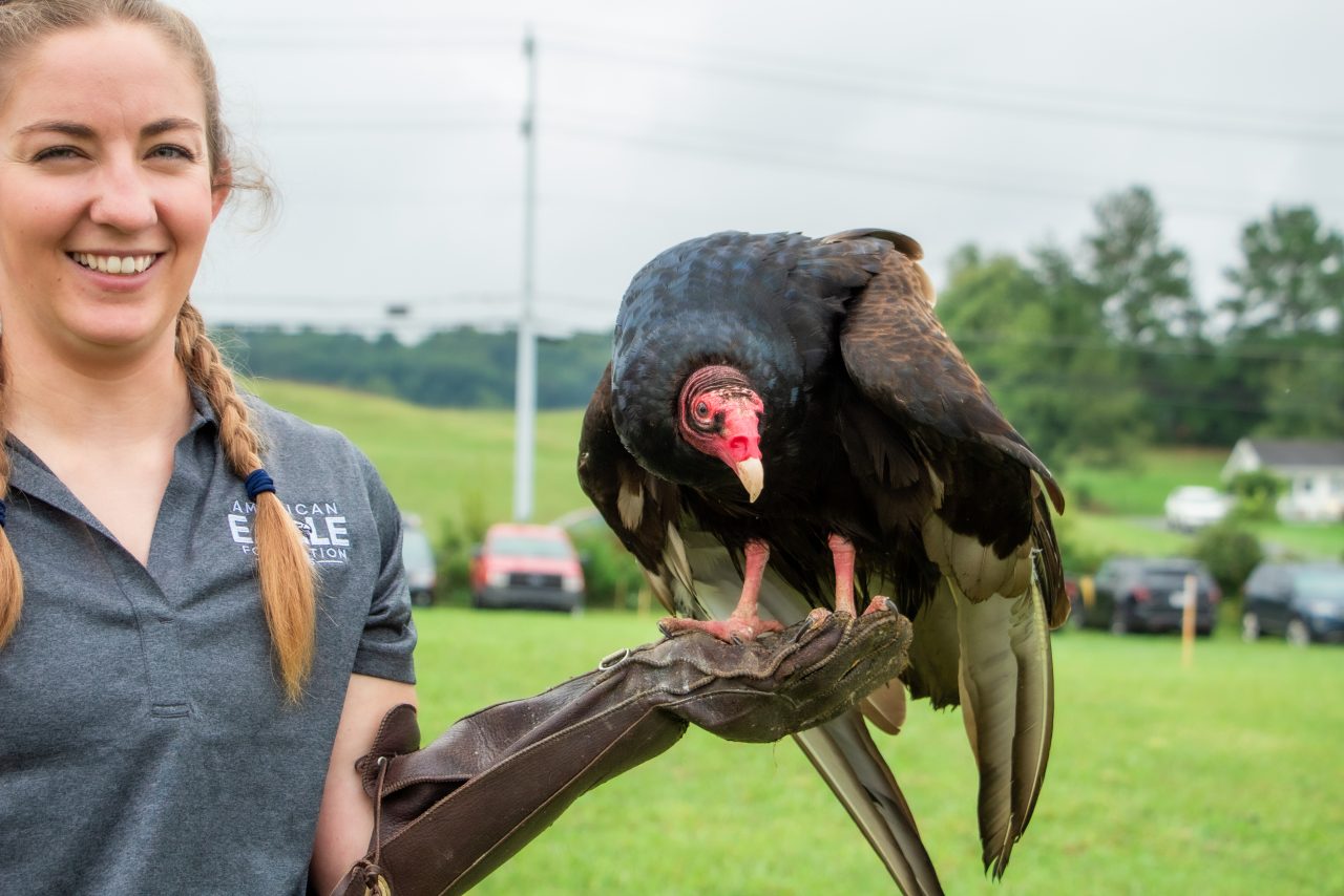 Project Eagle | American Eagle Foundation